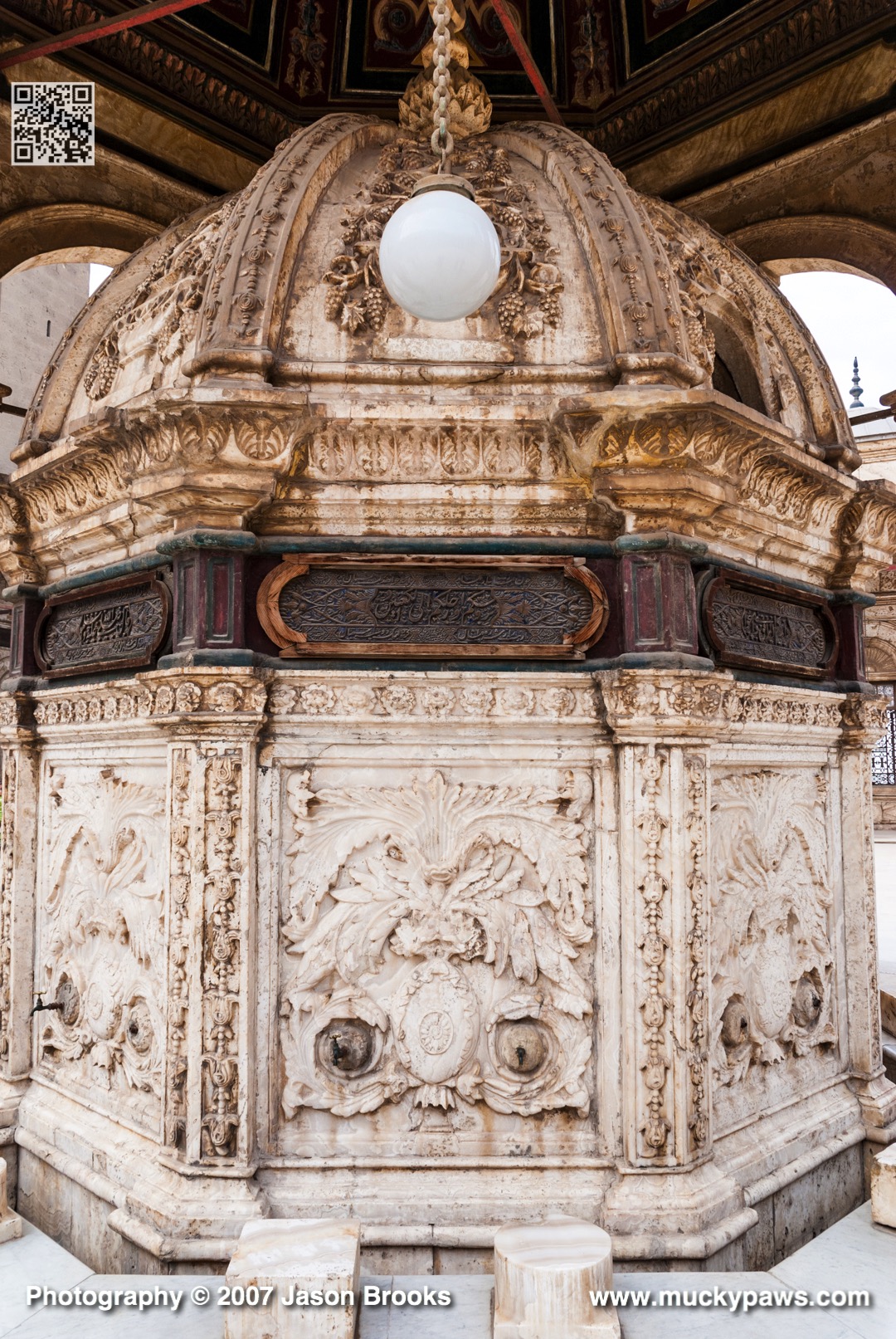 Examples of Bad/Poor Photography… – www.muckypaws.com