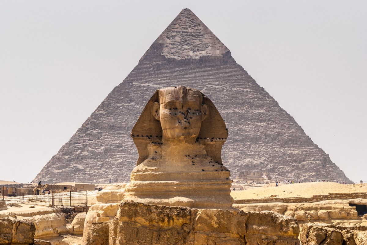 Love Pyramid… – www.muckypaws.com